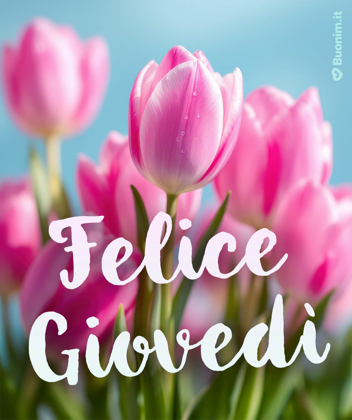 Immagini di Buongiorno e Buon Lunedì Autunnale con Auguri dal Cuore ...