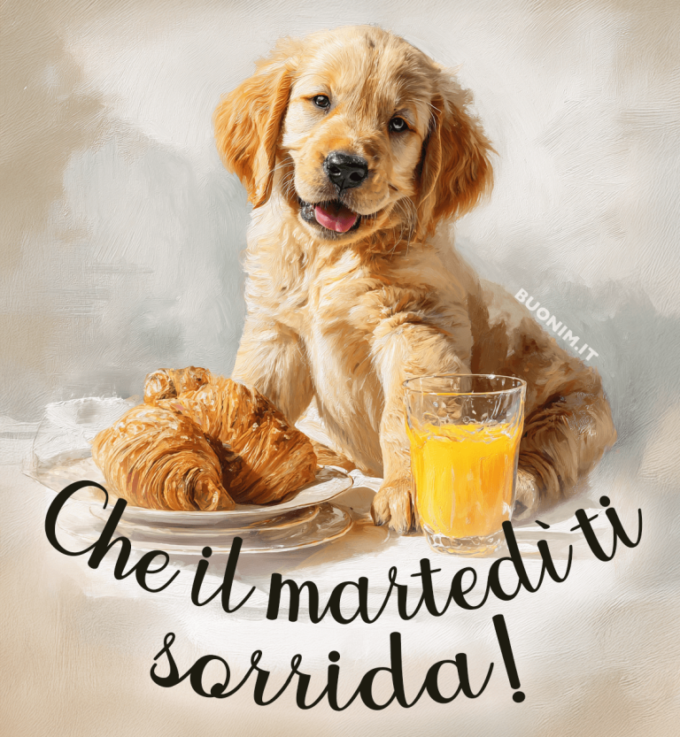 Immagini di Buon Martedì nuove e bellissime per dire Buongiorno gratis ...
