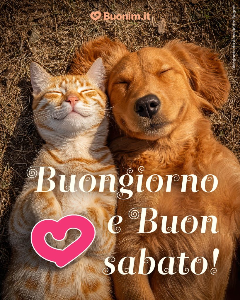 Immagini di Buongiorno e Buon Sabato Nuove con Frasi bellissime per il ...