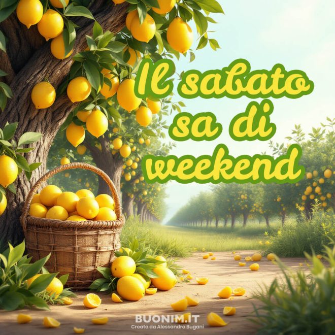 Immagini di Buongiorno e Buon Sabato Nuove con Frasi bellissime per il ...