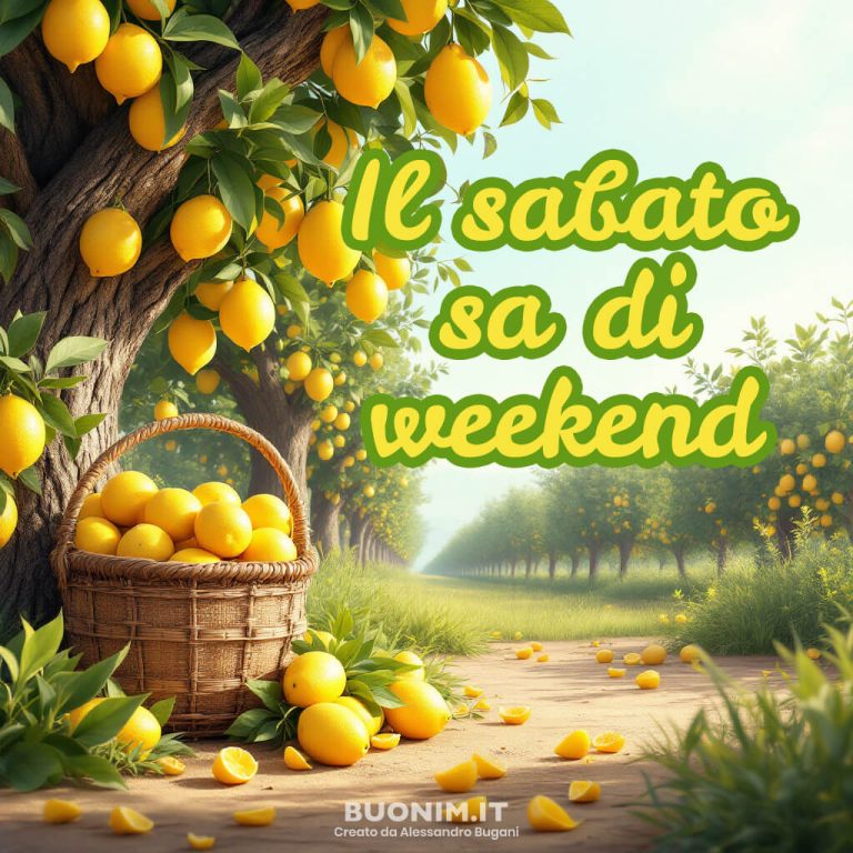 Immagini di Buongiorno e Buon Sabato Nuove con Frasi bellissime per il weekend - Buonim!