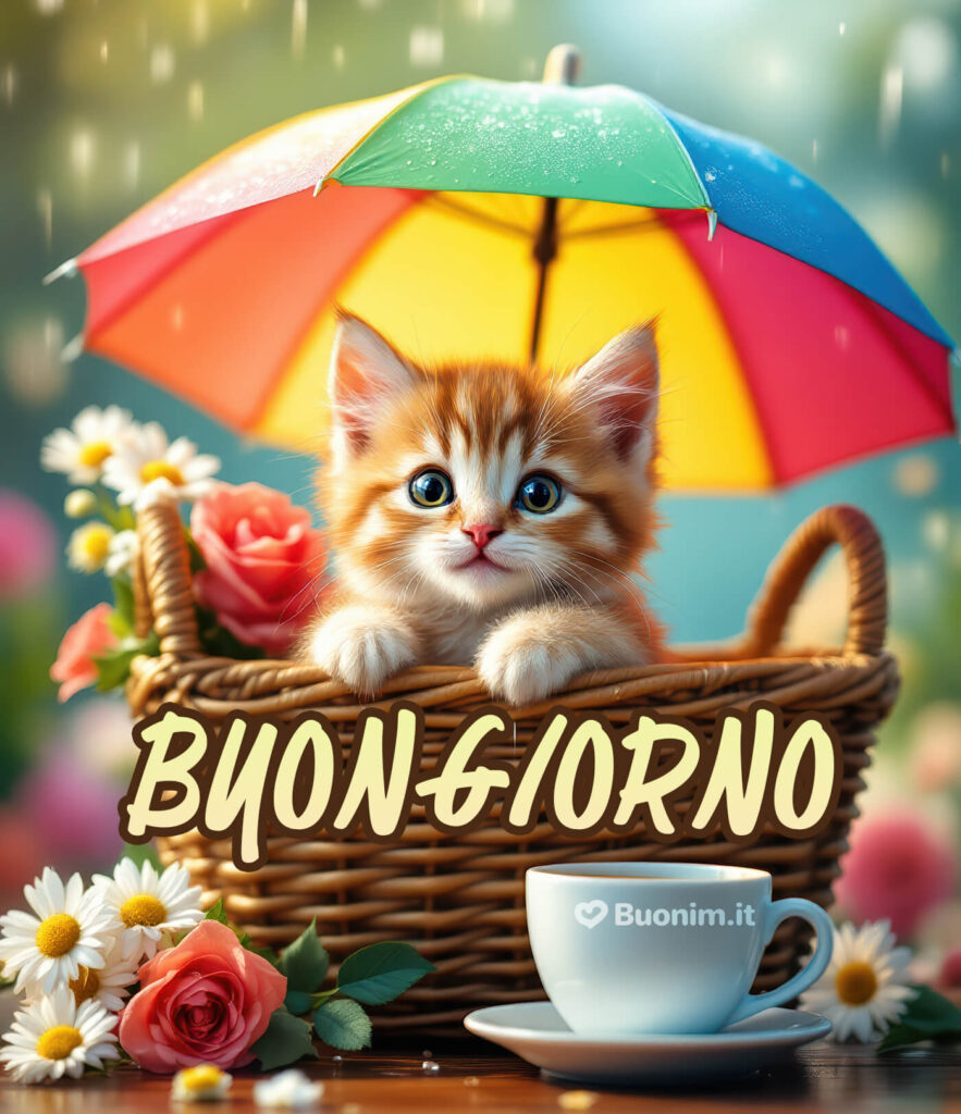Immagini di Buongiorno con la Pioggia Spiritose e Divertenti - Buonim!